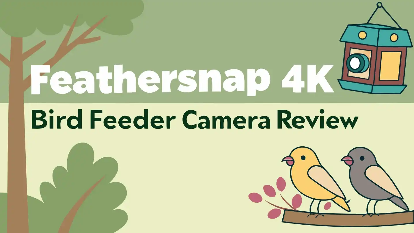 FeatherSnap 4K Bird Feeder Camera Review: Smart Backyard Birding